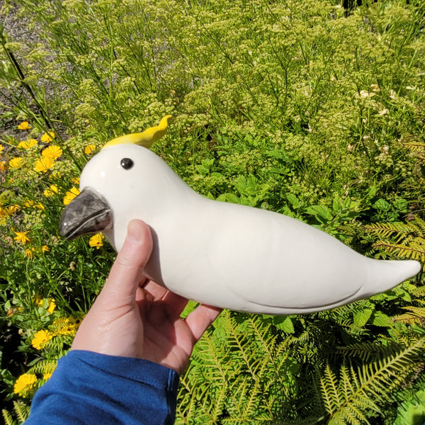 Cockatoo – amusing clay